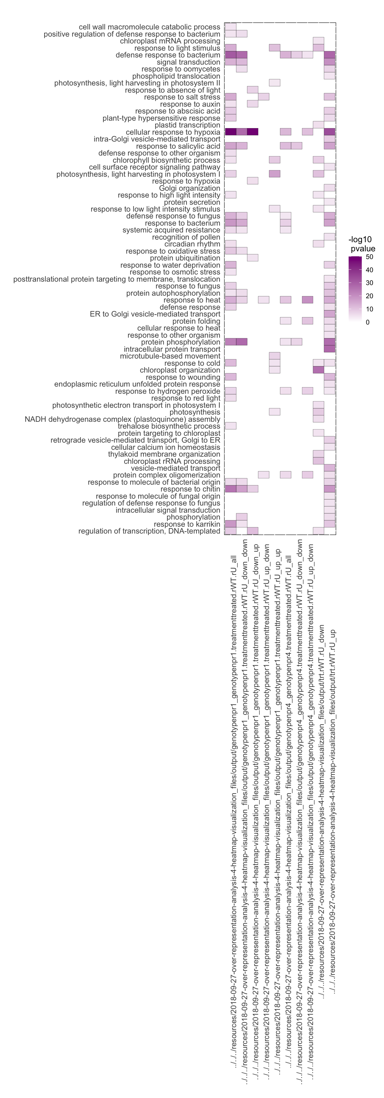Over-representation analysis 4: heatmap visualization | Daddy's data ... Over-representation analysis 4: heatmap visualization | Daddy's data ...